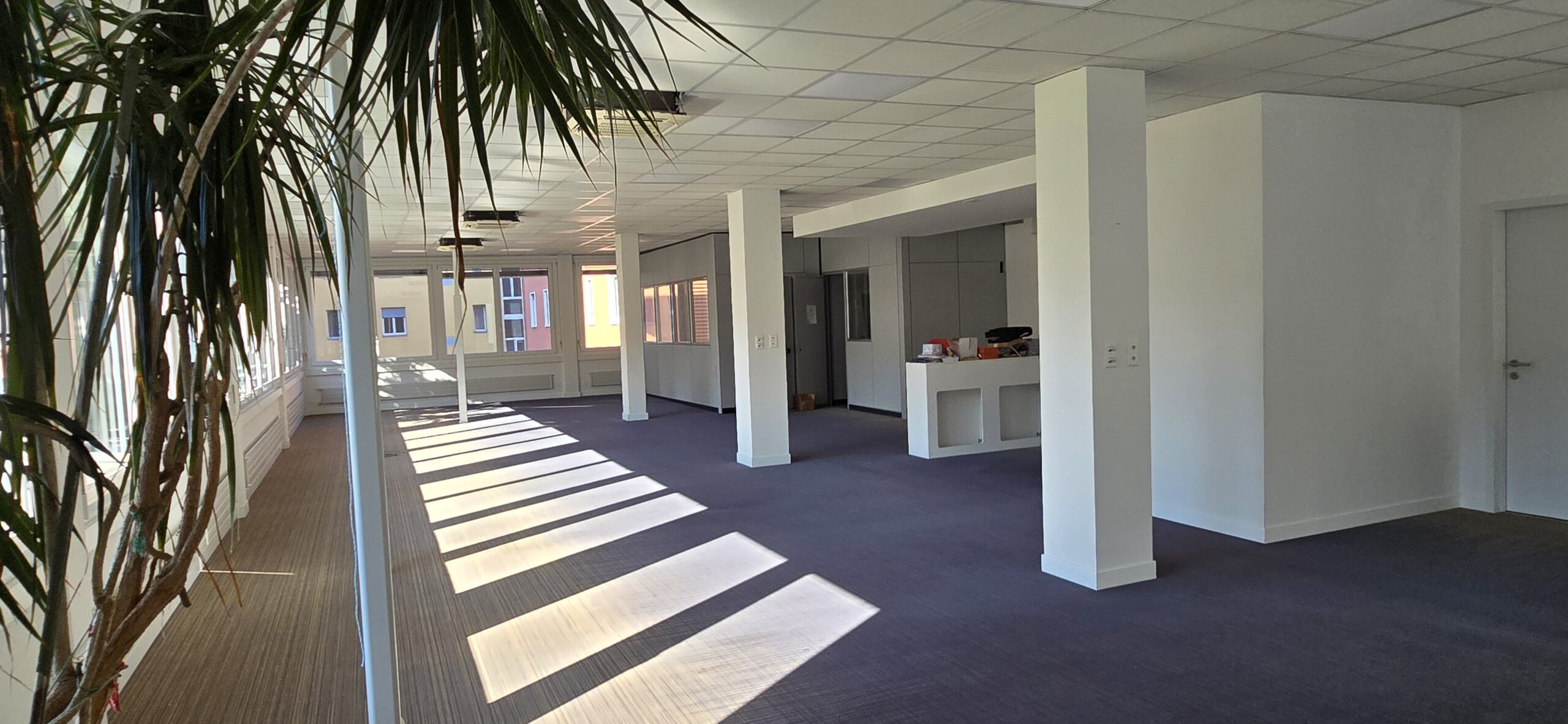 CHIASSO – STABILE COMMERCIALE PER IMPRESE DI ALTO PROFILO – Capifid ...